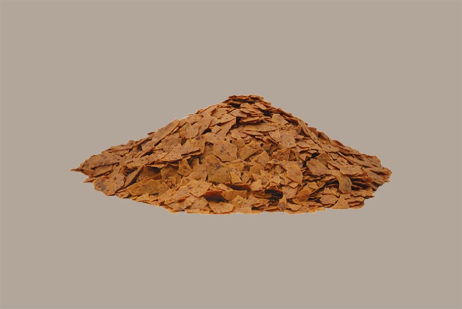 Date Palm - Wiztec Food Solutions