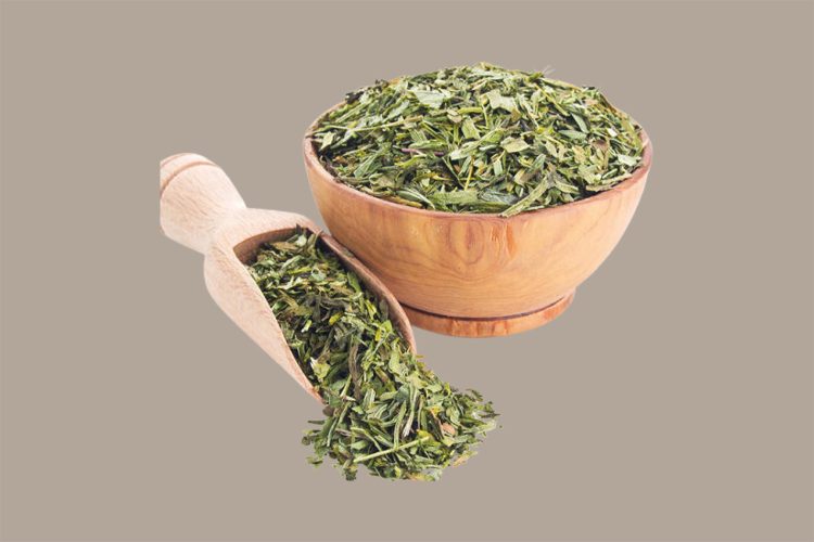 Mint - Wiztec Food Solutions