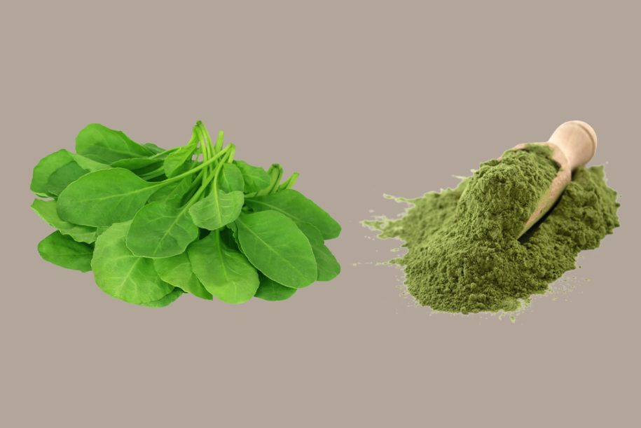 Spinach Flakes – Wiztec Food Solutions